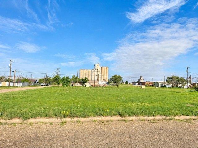 316 S Gaines Ave, Tulia, TX 79088