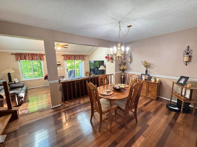 316 War Horse Place