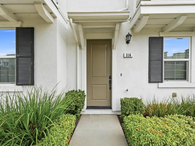 316 Wild Rose Way