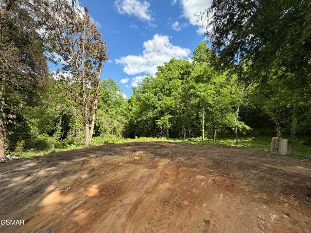 316 Wiley Town Road