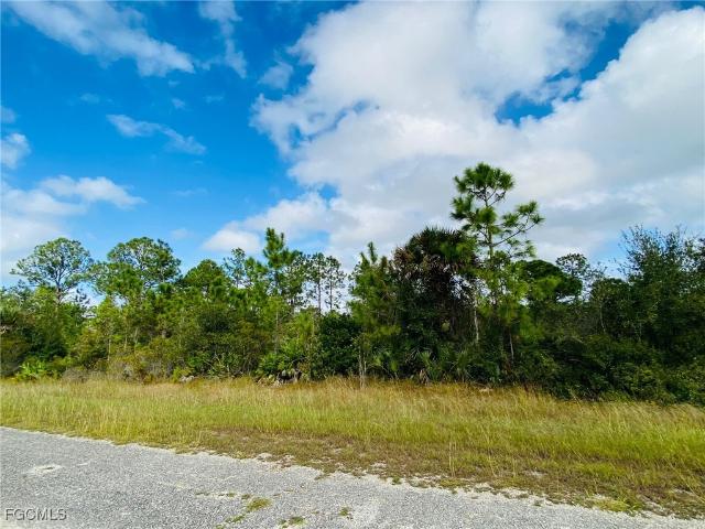 316 Tyrone Ave, Lehigh Acres, FL 33920 | MLS #2026004