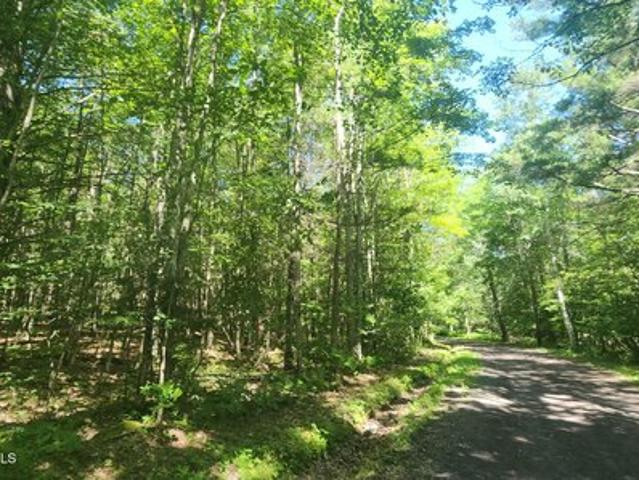 316 Van Rd, Jewett, NY 12444