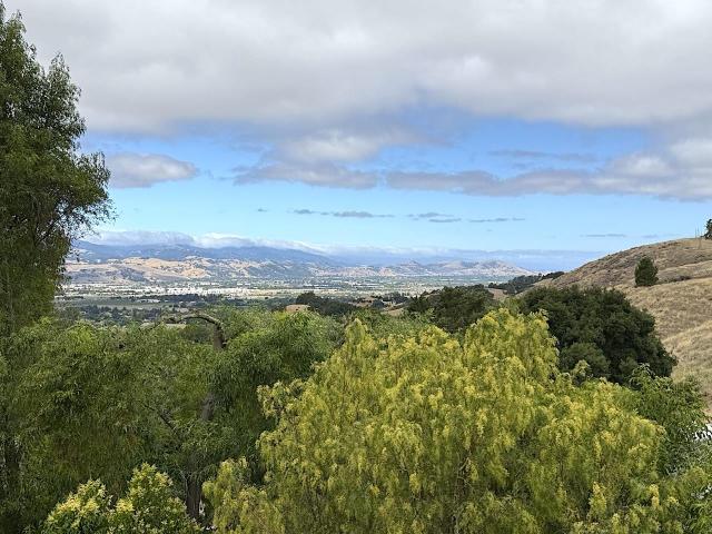 3175 Oak Leaf Court