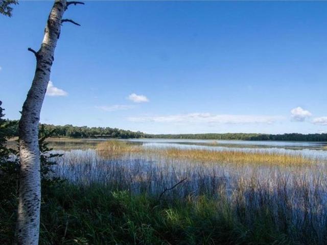 Deacons Way, Pequot Lakes, MN 56472