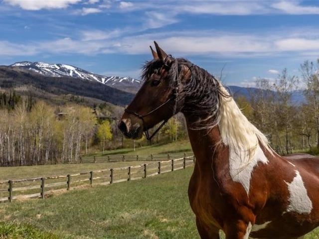 31775 Bradley Rnch, Steamboat Springs, CO 80487