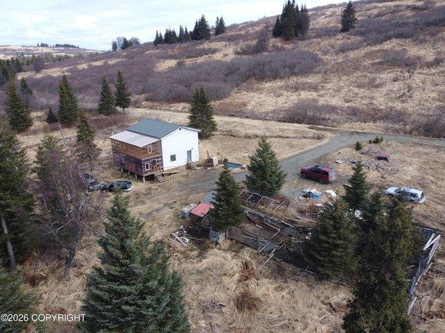 31779 Podgorna Pl, Anchor Point, AK 99556