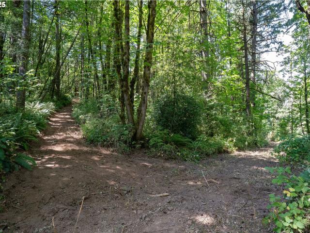 31795 NE Wilsonville Rd, Newberg, OR 97132 | MLS #107751
