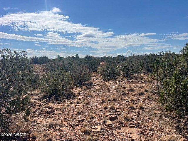 3170 N Old Woodruff Rd, Snowflake, AZ 85937