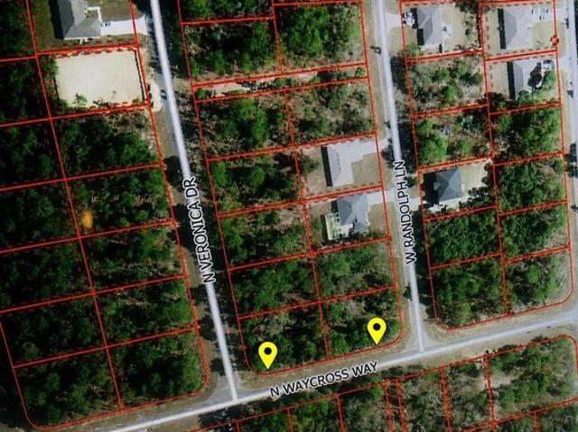 3171 W Randolph Ln, Citrus Springs, FL 34433