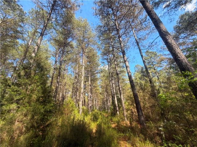 3172 Highway 20