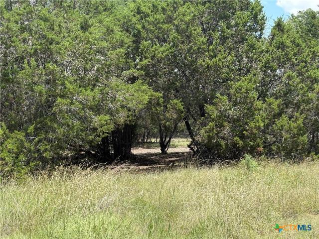 317 County Road 3062
