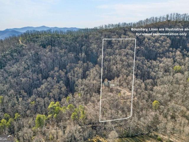 317 Collins Creek Road