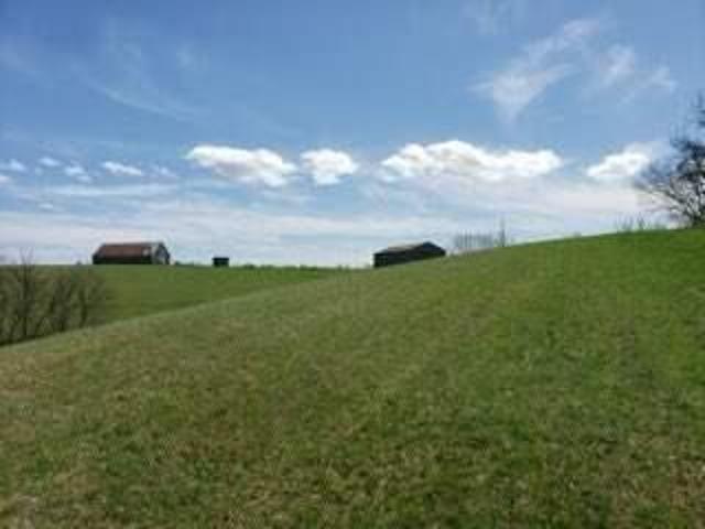 317 Cane Run Road