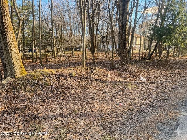 317 Drive, Pocono Summit, PA 18346 | MLS #PM 139551