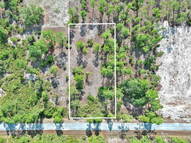 317 Fitch Ave, Lehigh Acres, FL 33936 | MLS #A11807
