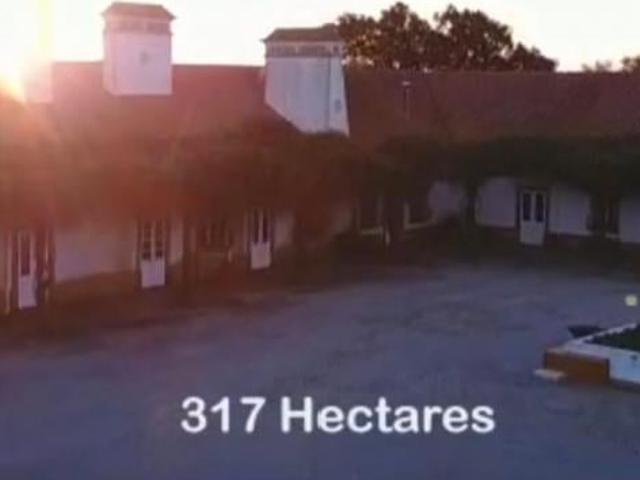 317 Hectares / Vinicula + Adega 150mil litros vinho / 400 cabeça gado premium