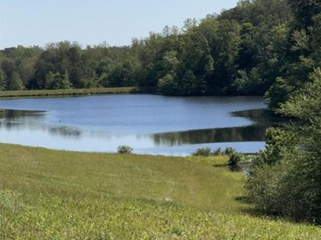 317 Lake View Ln, Palmyra, VA 22963