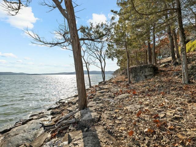 317 Scenic Drive