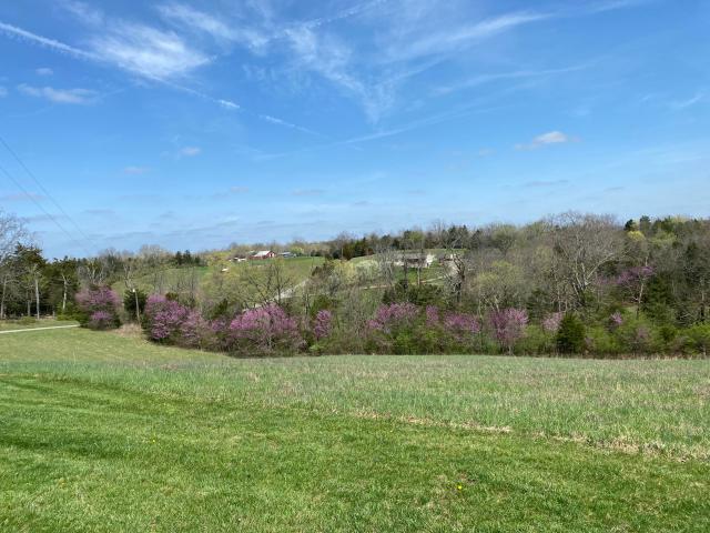 317 Short Road