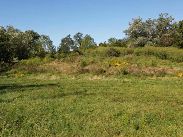 317 Singleton Hollow Rd