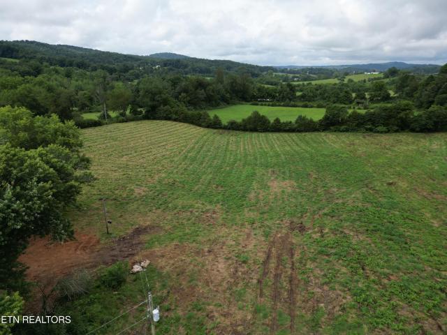 317 Singleton Hollow Rd