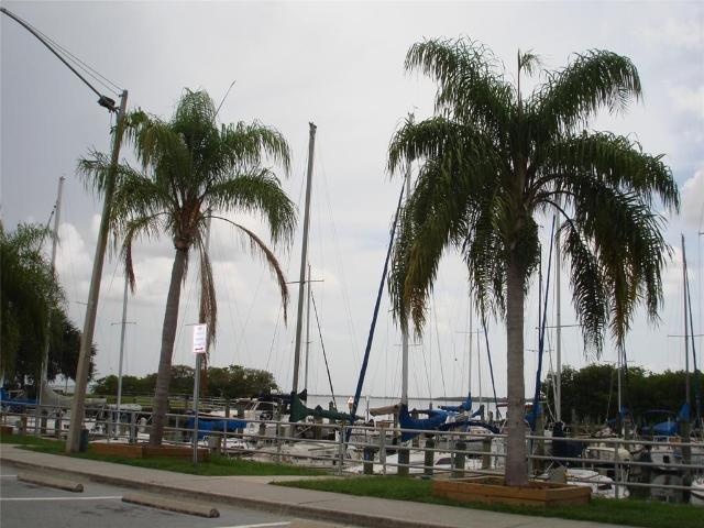 317 Plymouth St, Safety Harbor, FL 34695 | MLS #TB8463
