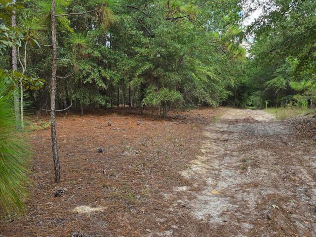 317 R J Johnson Road