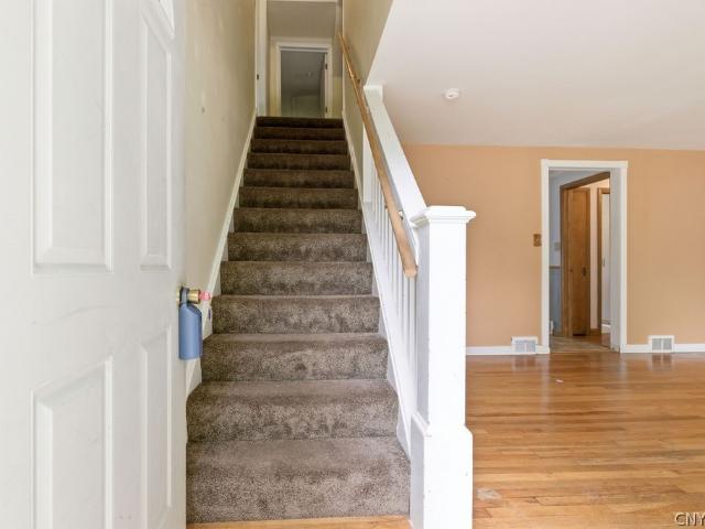 317 Vanida Drive