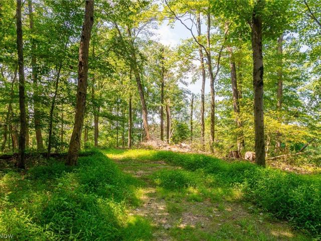 31800 Chestnut Ridge Road 1