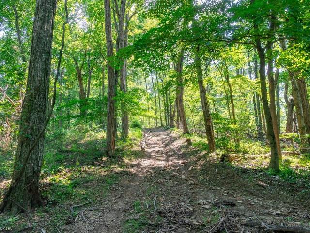 31800 Chestnut Ridge Road 2