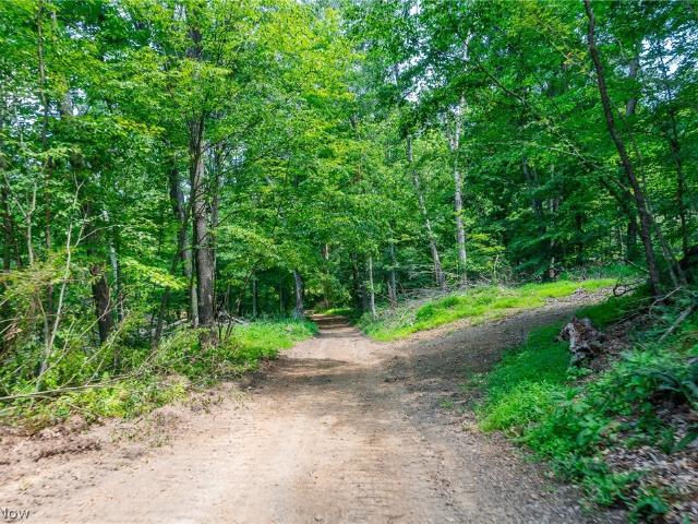 31800 Chestnut Ridge Road 3
