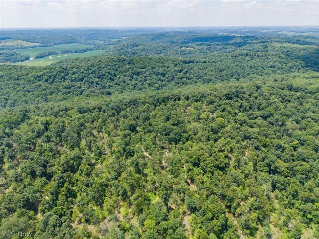 31800 Chestnut Ridge Road