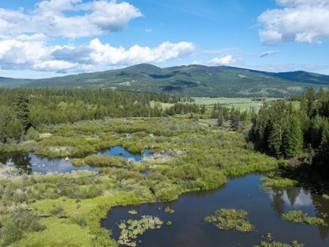 3180 Browns Meadow Rd, Kila, MT 59920