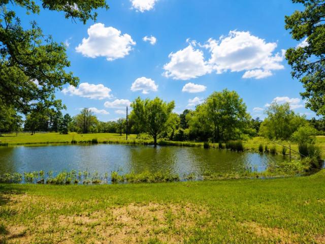 318 Grey Wolf Ln