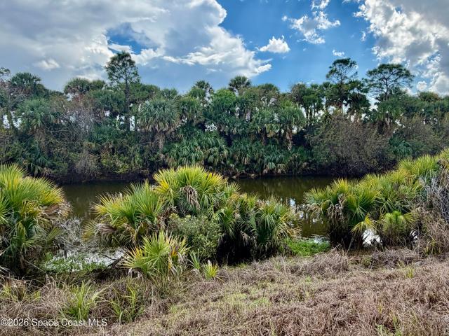 318 Lagoon St, Palm Bay, FL 32908 | MLS #1072