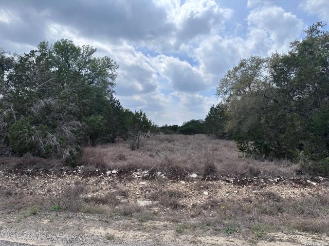 318 Serenity Pass, Spring Branch, TX 78070 | MLS #1954