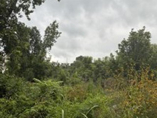 3198 Red House Rd, Richmond, KY 40475