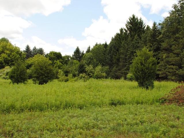 3199 Luna Dr, Dexter, MI 48130