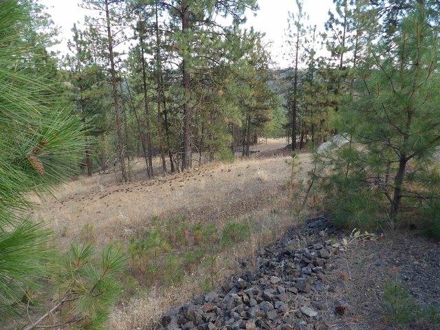31905 E Ruffed Grouse Dr, Davenport, WA 99122