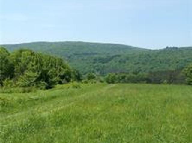 3190 County Highway 22, Walton, NY 13856 | MLS #971506