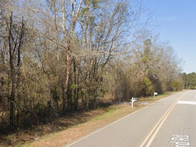 3191 Gene Howard Road