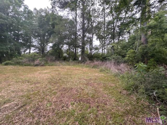 31937 William Kelly Ln, Denham Springs, LA 70726 | MLS #BR2026005