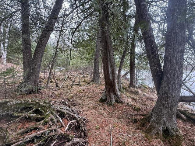 31938 E Gunn Lake Trail