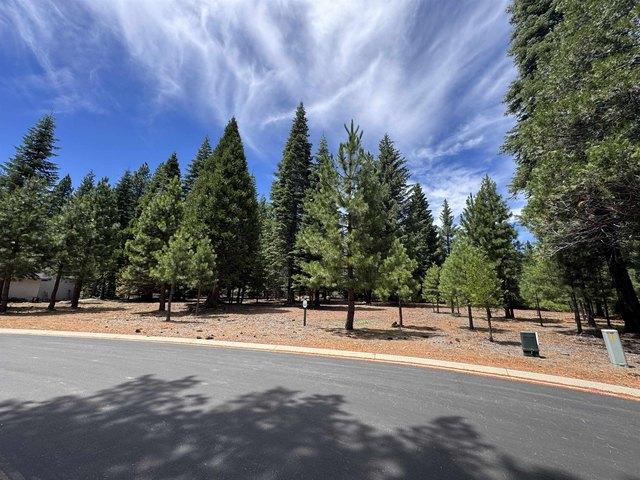 319 Alpine Fir Rd, Lake Almanor, CA 96137