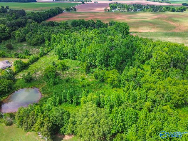 319 B Coulter Drive
