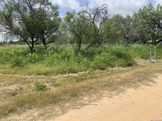 319 Karen Kourt Lot A0632, Devine, TX 78016