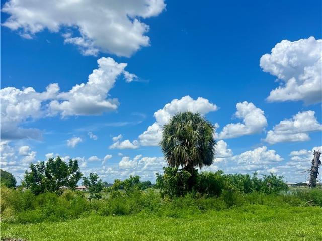 319 NW 11th Ter, Cape Coral, FL 33993 | MLS #225059 | Compass