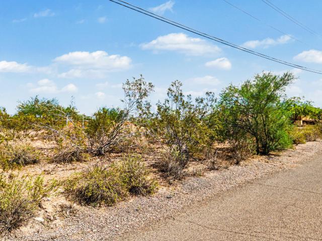 319 s muleshoe road # 016d
