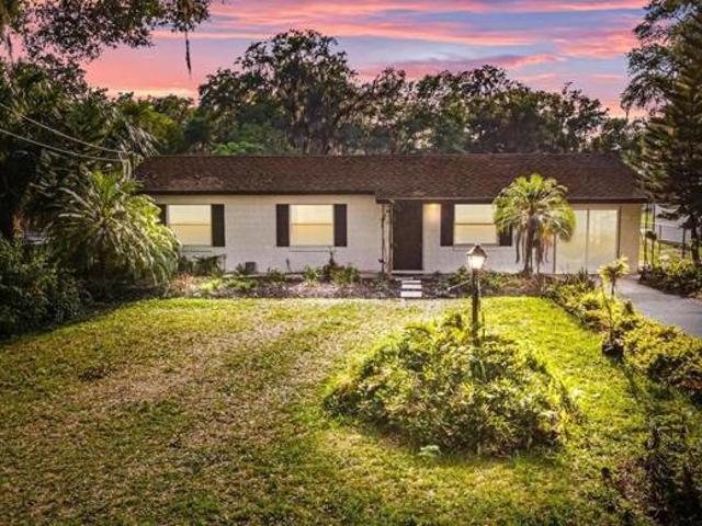 319 S Simpson St, Mount Dora, FL 32757