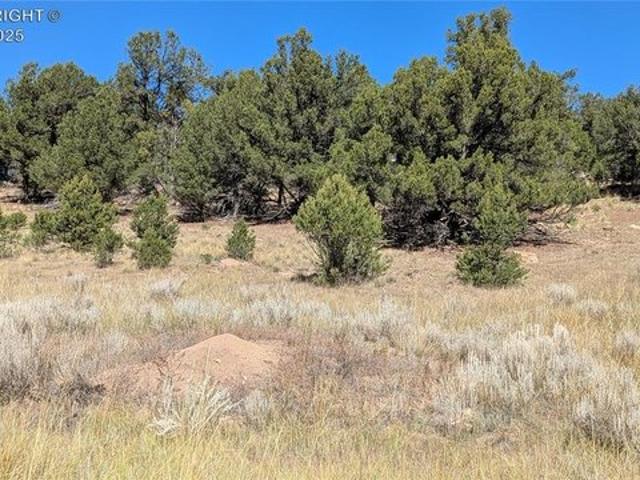 319 Sioux Cir, Canon City, CO 81212